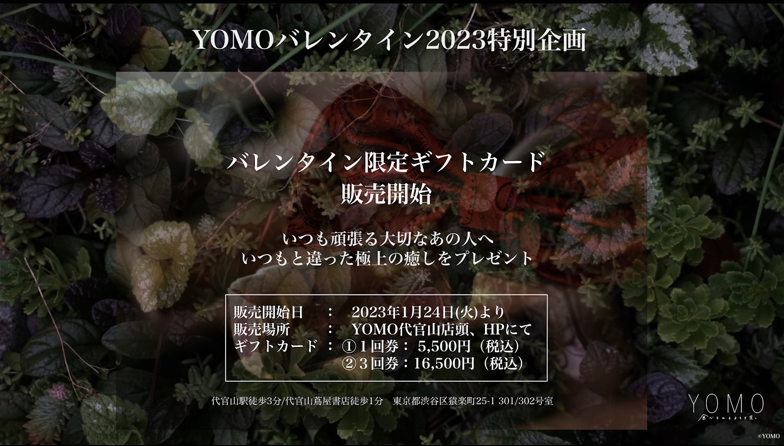 NEWS｜最新情報 - YOMO～食べられるよもぎ蒸し～代官山