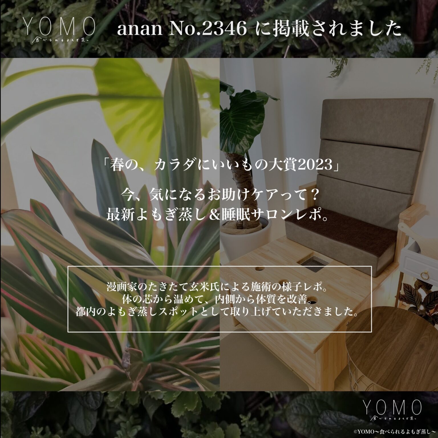 NEWS｜最新情報 - YOMO～食べられるよもぎ蒸し～代官山