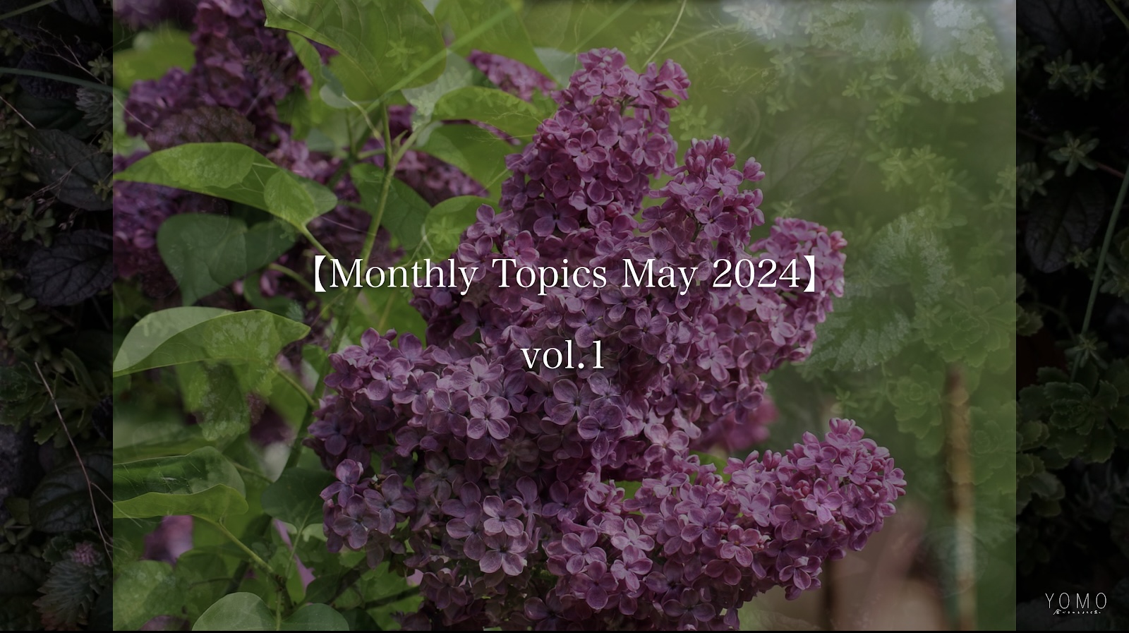 【Monthly Topics May 2024】vol.1 今年の夏こそ魅せボディ！よもぎ蒸しで見せるからだをつくる - YOMO～食べられるよもぎ蒸し～代官山